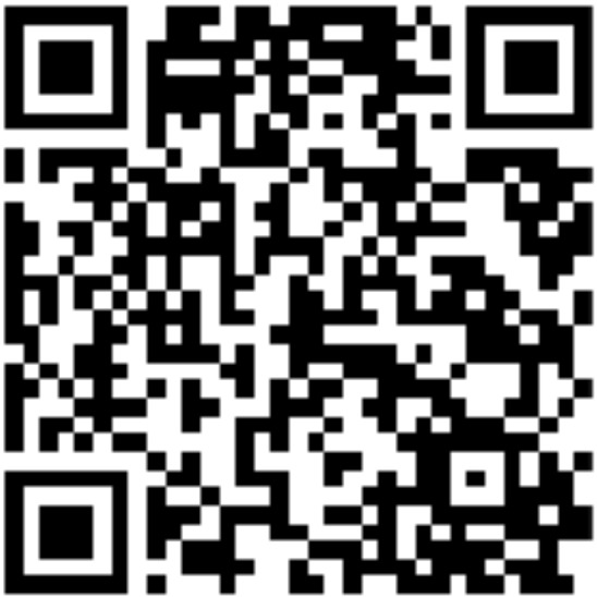 Reports – The Matsuda Family